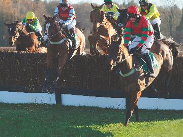 Hospitality | Lingfield Park Racecourse