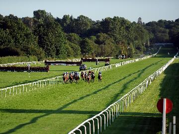 Lingfield Park Resort | Lingfield Park Stadium