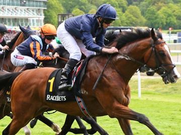 Lingfield Racecourse Map | Lingfield Park