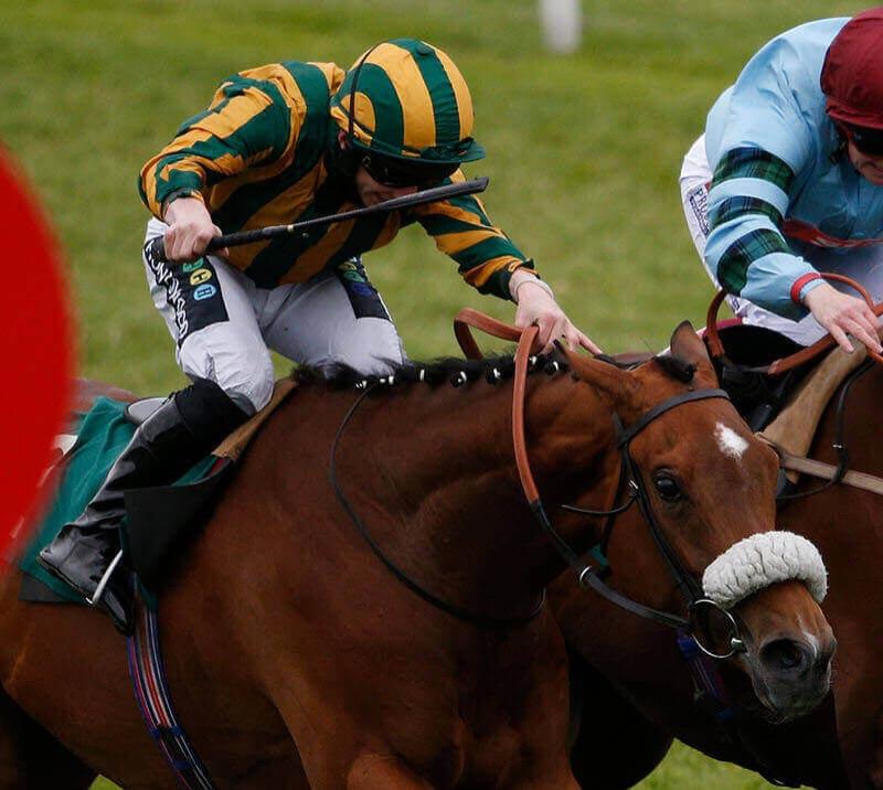 The Derby Trial | Lingfield Park