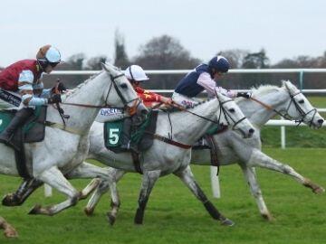 Lingfield Park Resort | Lingfield Park