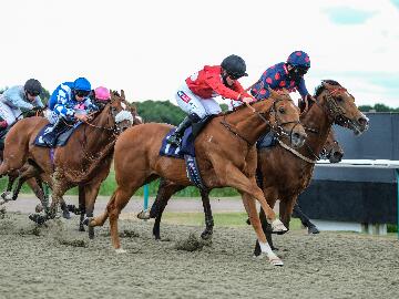 Lingfield Park Resort