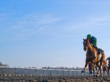 Lingfield Park Resort | Lingfield Park