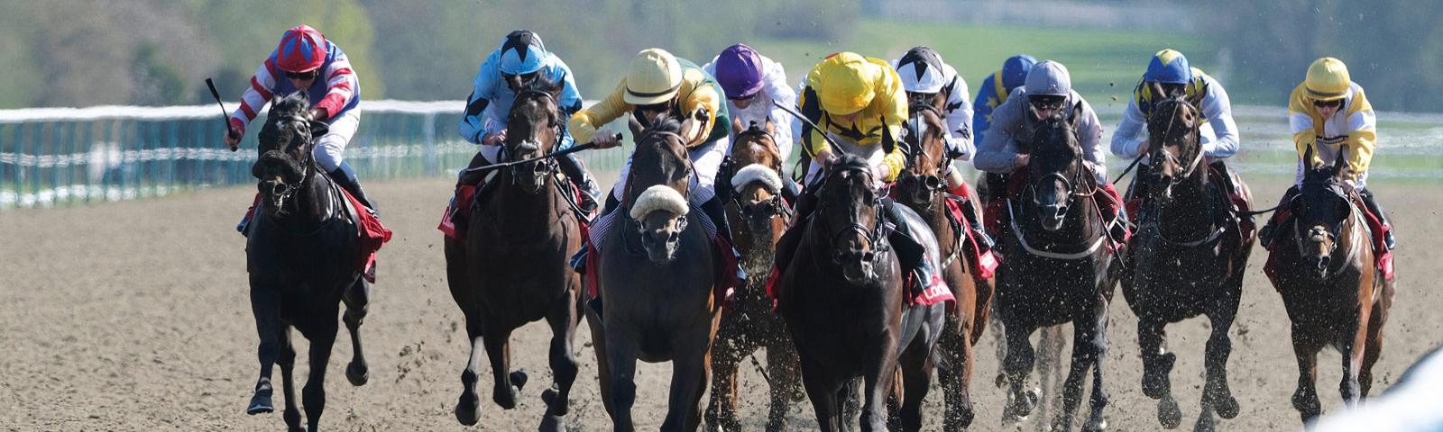 Lingfield Park Resort