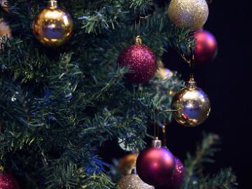 Hospitality | Lingfield Park Racecourse